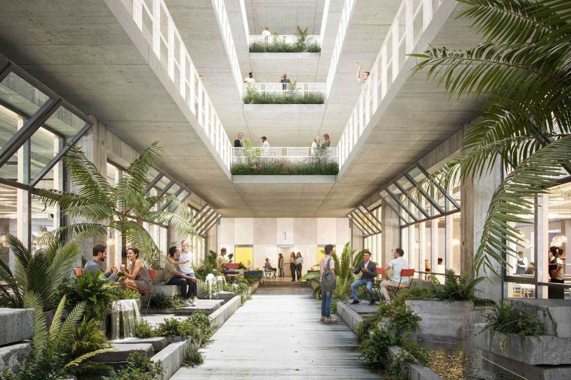 Green light recommended for Sheffield's Cole Brothers - Place Yorkshire