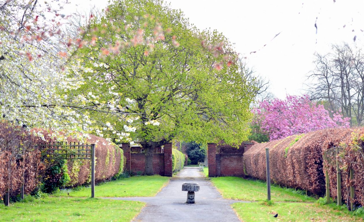 Reviving The Retreat | Q&A with PJ Livesey - Place Yorkshire